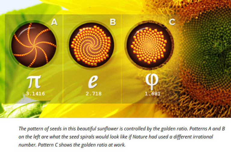 Relationships between PI, PHI the GOLDEN RATIO, e and FIBONACCI | Marc ...
